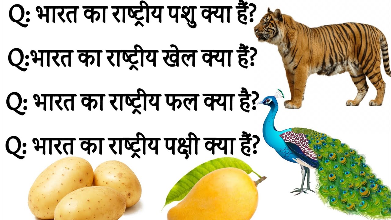 Bharat ka rastriya pashu kya hai || Gk in Hindi - YouTube
