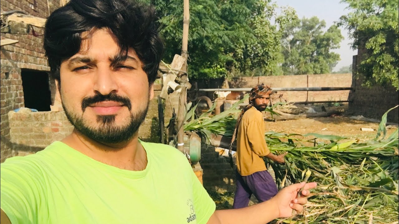 Village Morning Routine Youtube