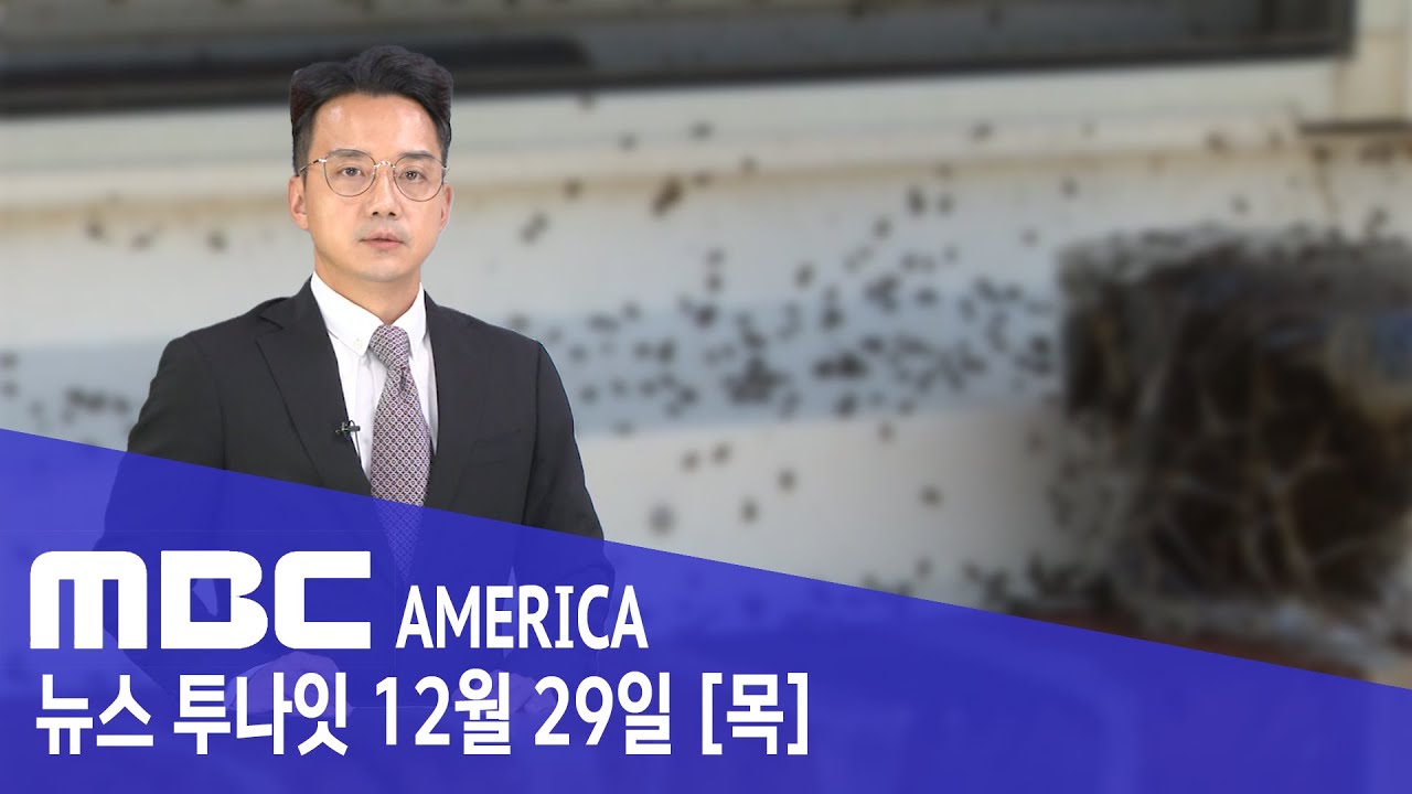 초파리떼의 습격...입안까지 - MBC AMERICA (2022년 12월 29일) - YouTube