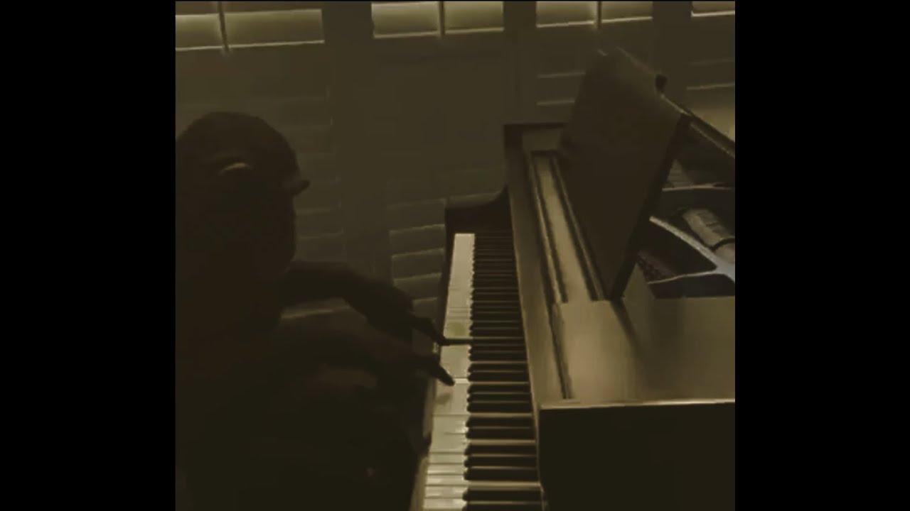 Recovered 1890's Rare Footage Of Monkey Playing Für Elise By Beethoven ...