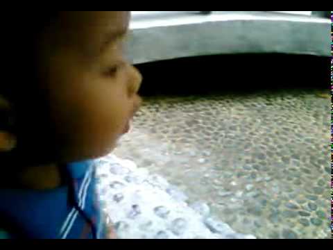 Raska and fish (Grand Indo).3gp