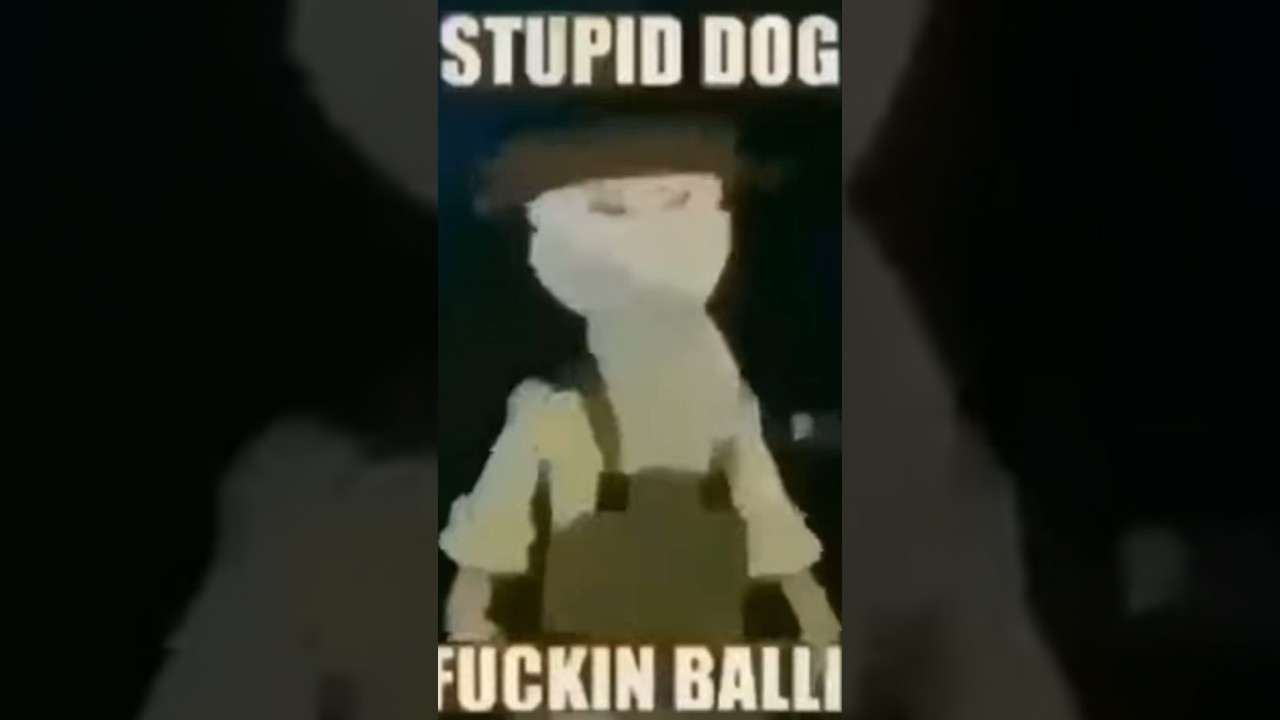 Stupid Dog! I’m F*ckin’ Ballin!! #memes #meme #memesdaily - YouTube