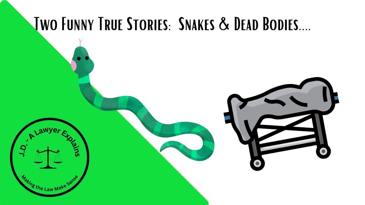 2 Funny Stories Involving Snakes and Dead Bodies (and odd senses of ...