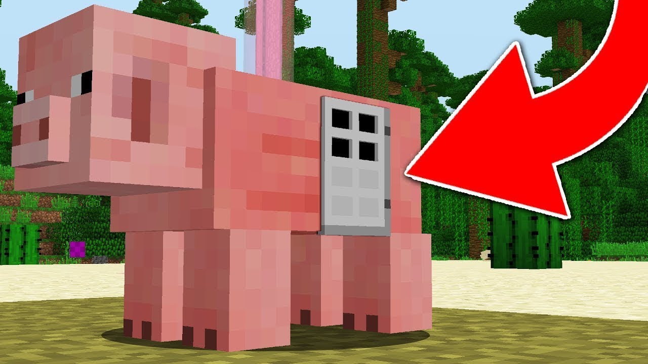 JE DOIT SURVIVRE DANS UN COCHON MINECRAFT !! - YouTube