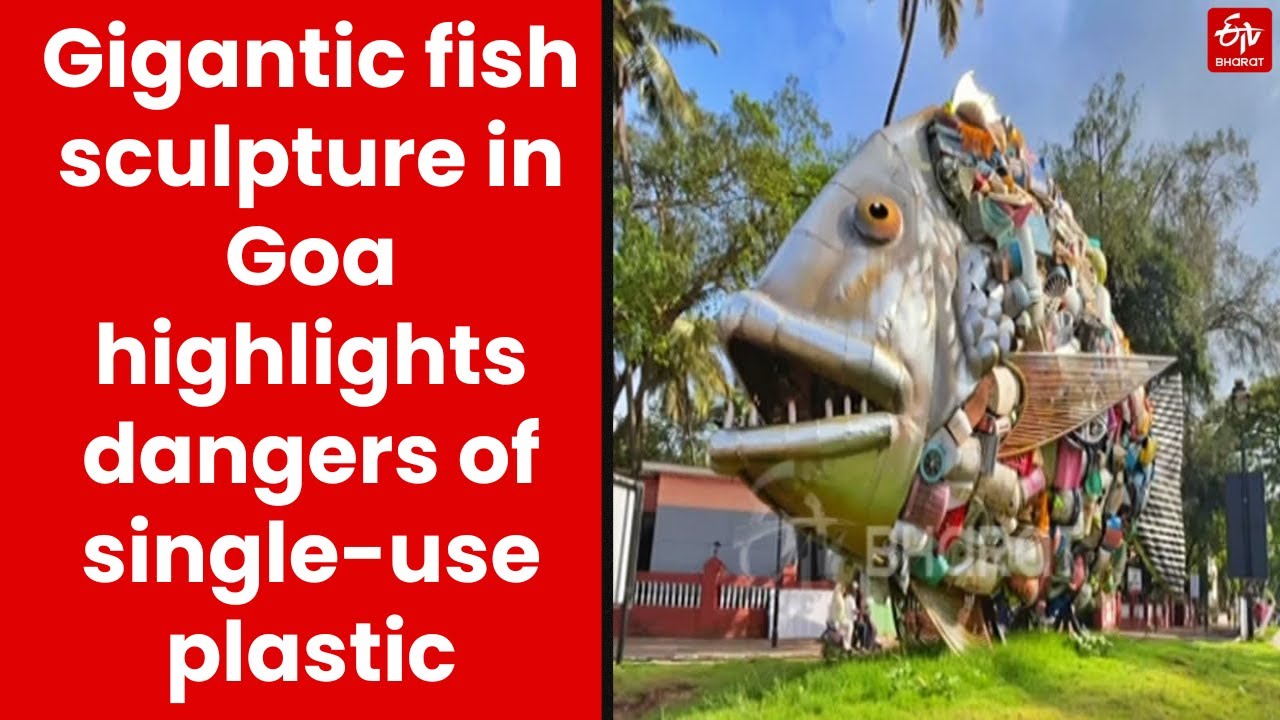 Gigantic fish sculpture in Goa highlights dangers of single-use plastic ...
