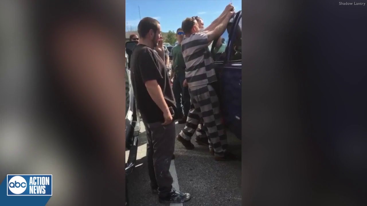 Inmates in Pasco County jump into action to help deputies rescue baby ...