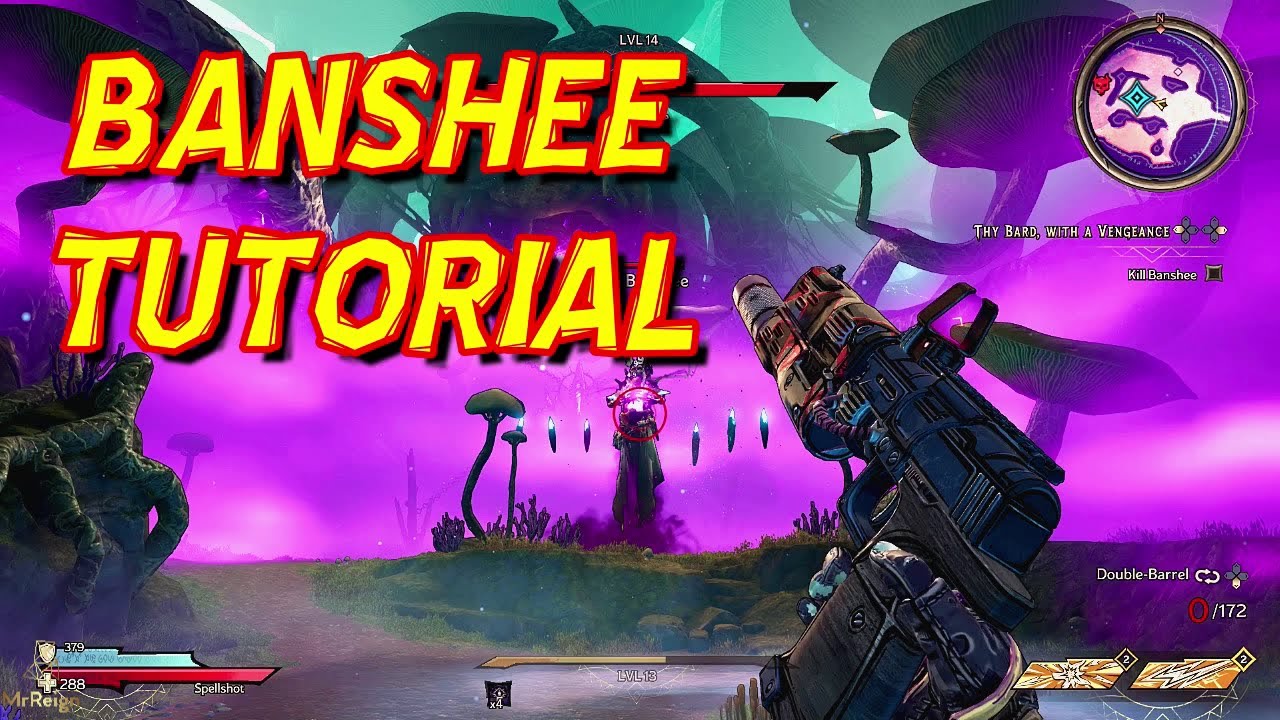 Tiny Tina's Wonderlands - Banshee Boss Fight Tutorial - How to Defeat ...
