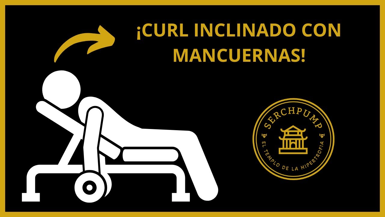 ¿Cómo hacer CURL de BÍCEPS INCLINADO con MANCUERNAS sentado en banco ...