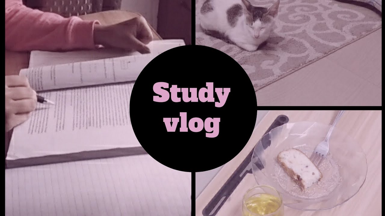 Study Vlog || My Evening Study Routine || - YouTube