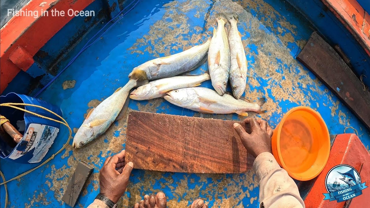 Spicy Fish Curry in the Mid-Sea: A Fisherman's Life on the Boat - YouTube
