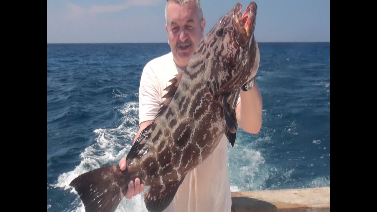 Вот так "карась"! Кубинская рыбалка. / That's a "crucian"! Cuban ...