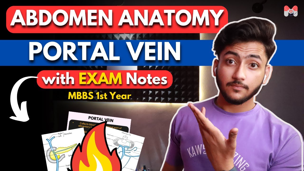 Abdomen Anatomy- Portal Vein | MBBS 1st Year | Full Explanation with ...