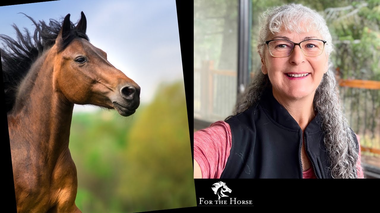 How To Handle A Distracted Horse - YouTube