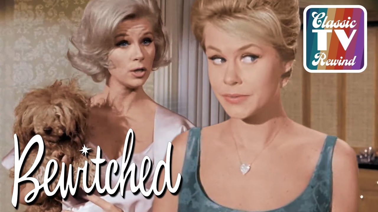 Bewitched | Samantha Casts A Canine Spell! | Classic TV Rewind - YouTube