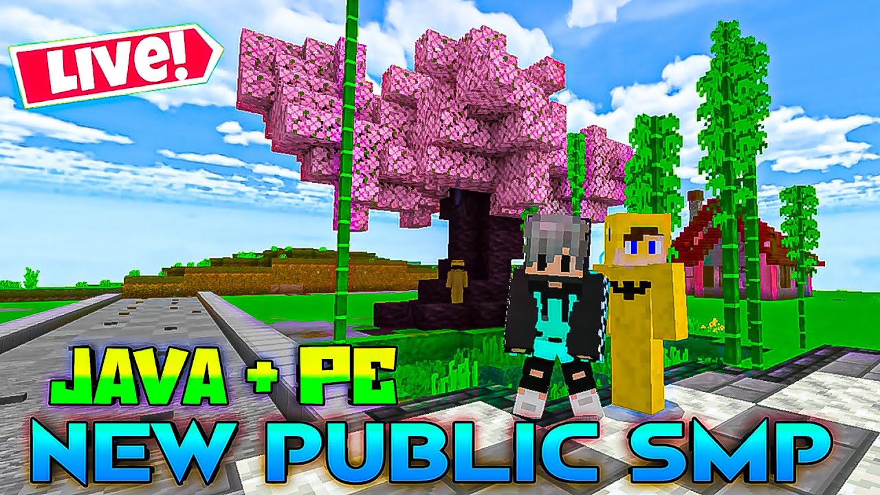 Join My 1.21 Public Smp | Minecraft Live Java + Pocket Edition ...