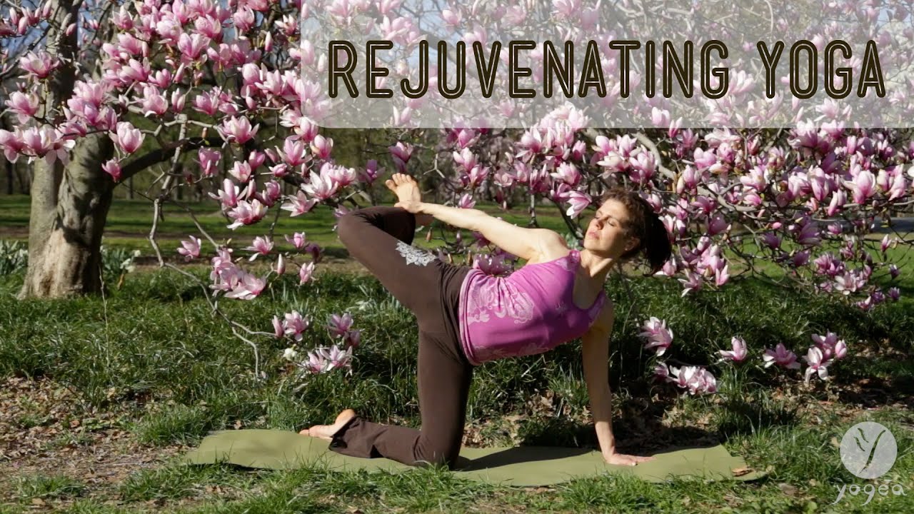 Rejuvenating Yoga Routine: Replenish & Charge (open level) - YouTube