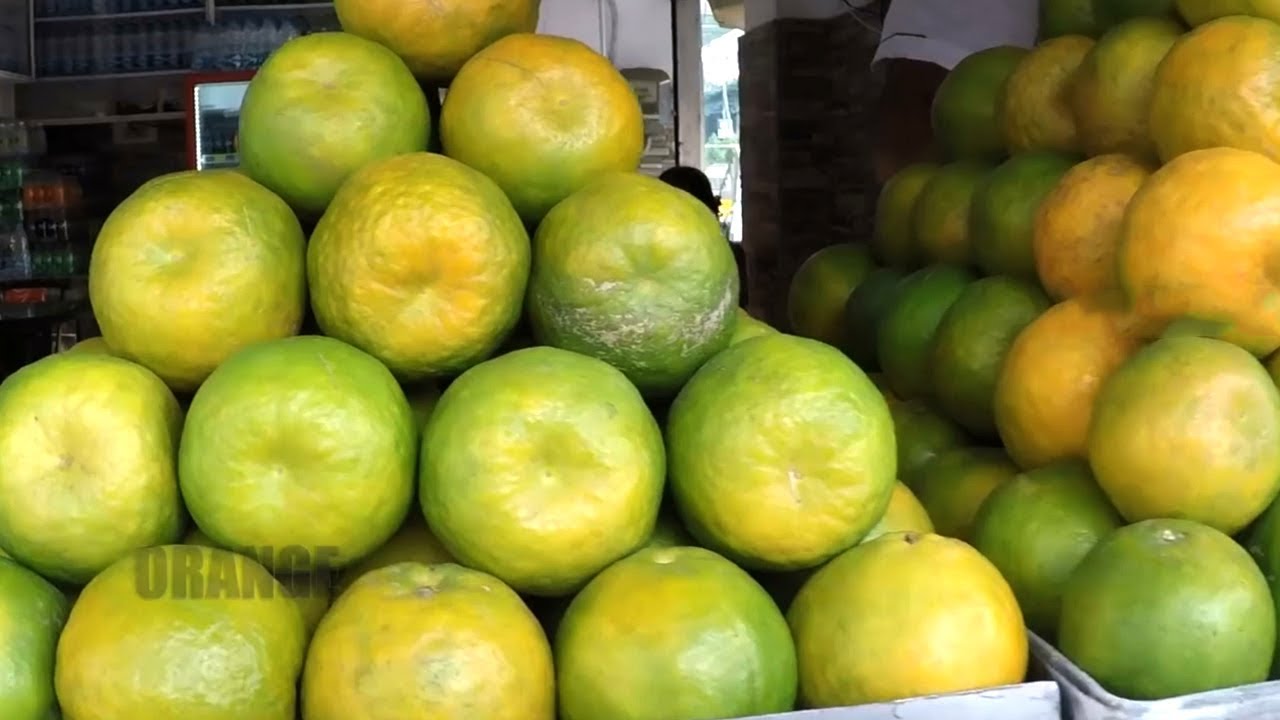 Original Pulpy Orange Juice - Healthy And Tasty Juice | Battai Juice ...