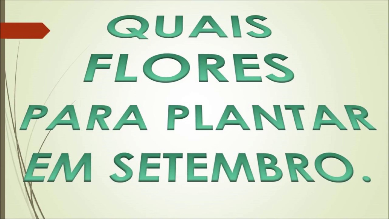 QUAIS FLORES PARA PLANTAR EM SETEMBRO. - YouTube