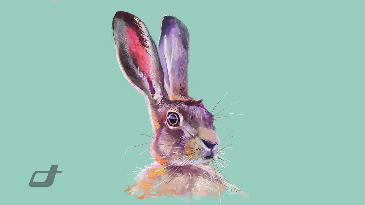 Digital Art Showcase: Creating a Rabbit Drawing on iPad with Procreate ...