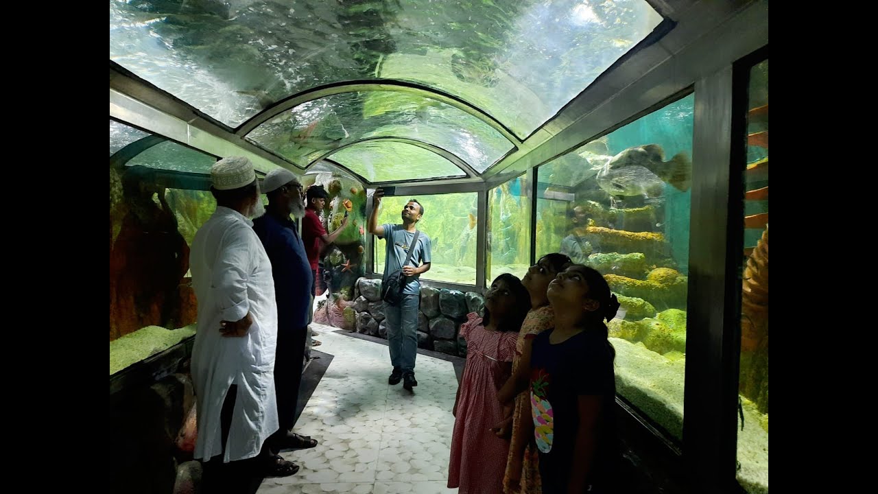 Radiant Fish World - Cox's Bazar, Bangladesh - YouTube