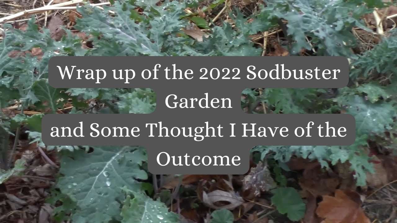 Final Sodbuster Garden Tour Video for 2022 - YouTube