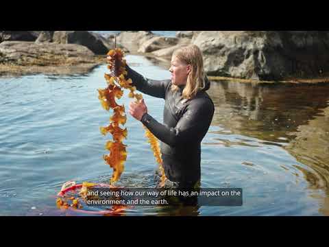 Passion for the ocean: Life at the water´s edge