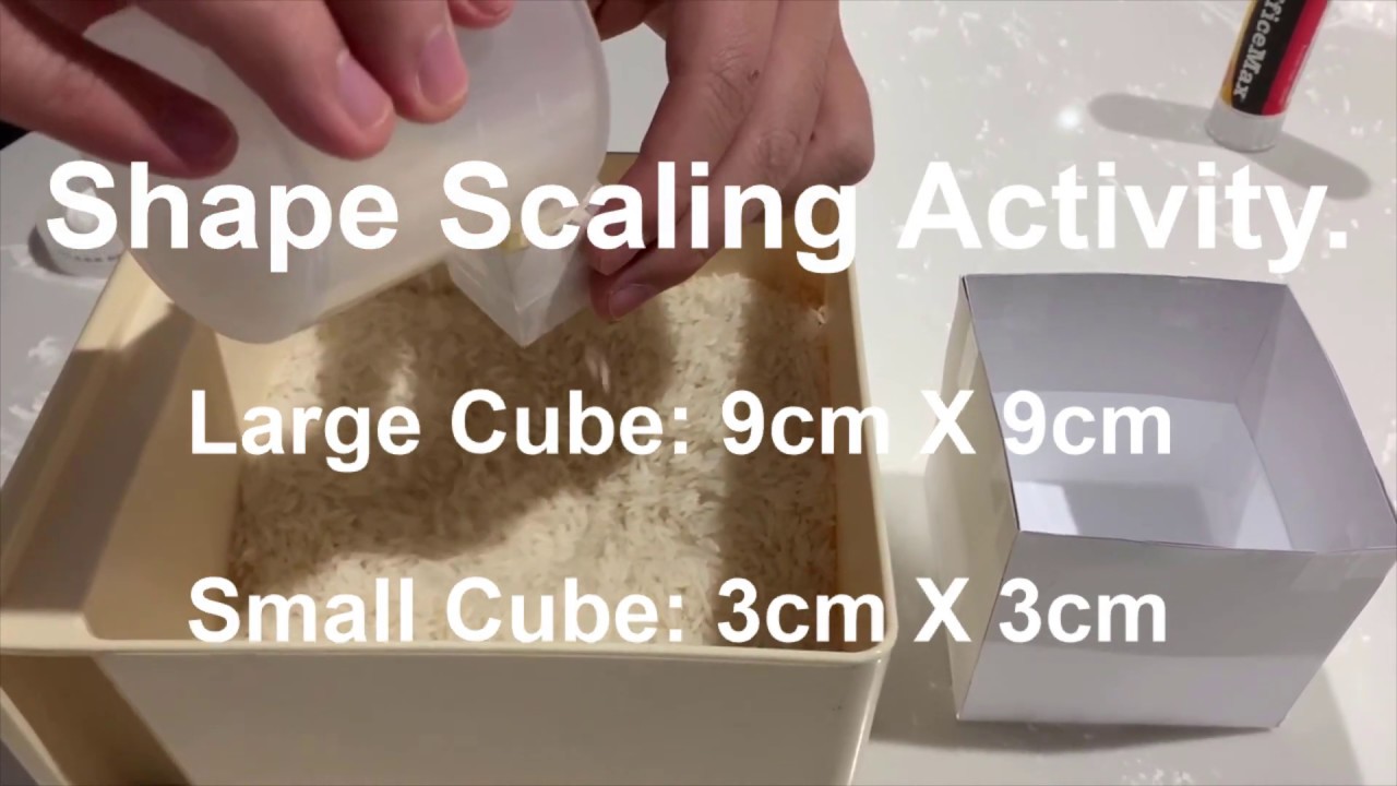 shape scaling activity - YouTube