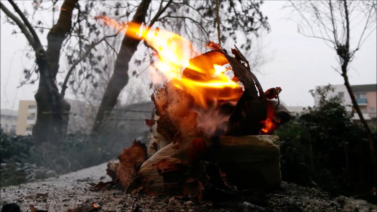 Gracile bow drill - cattail on cattail with cattail - 1st friction fire ...
