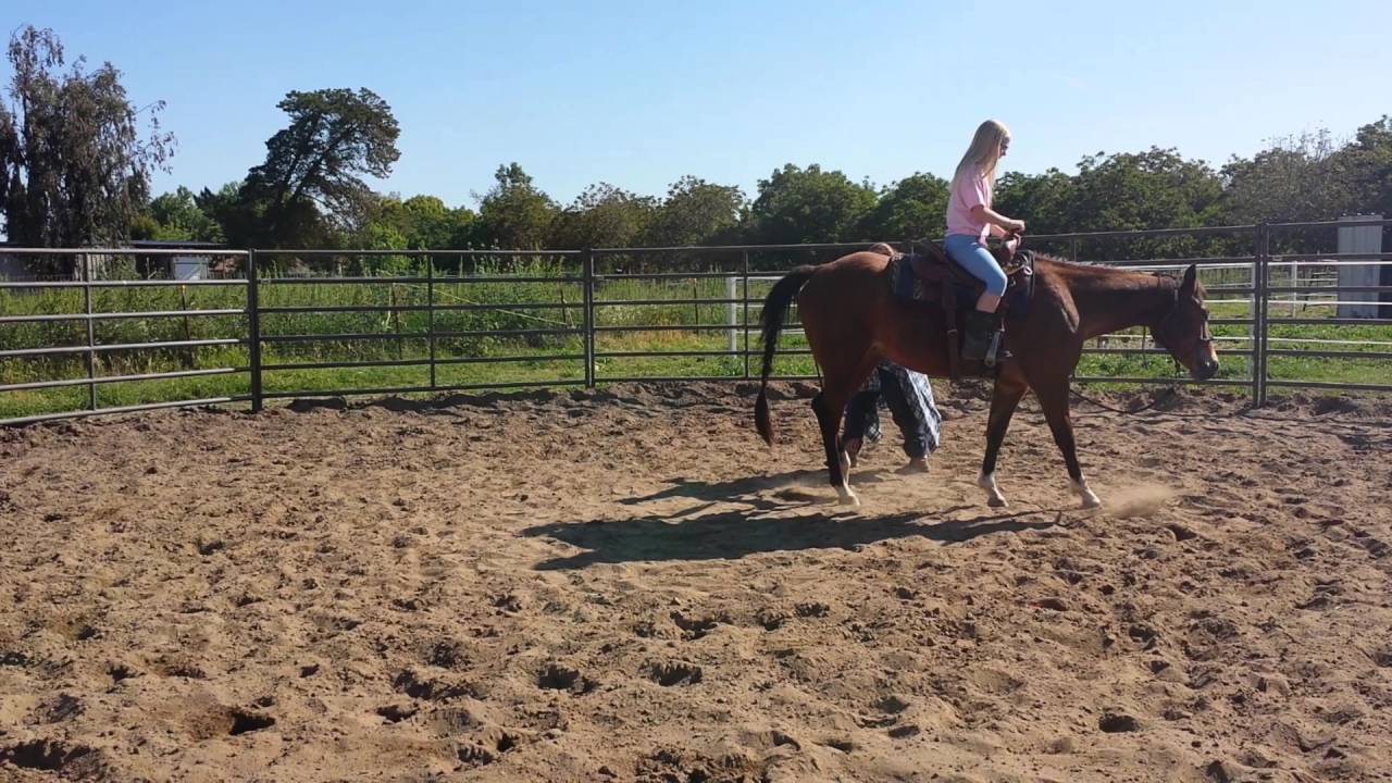 Silly Filly - YouTube