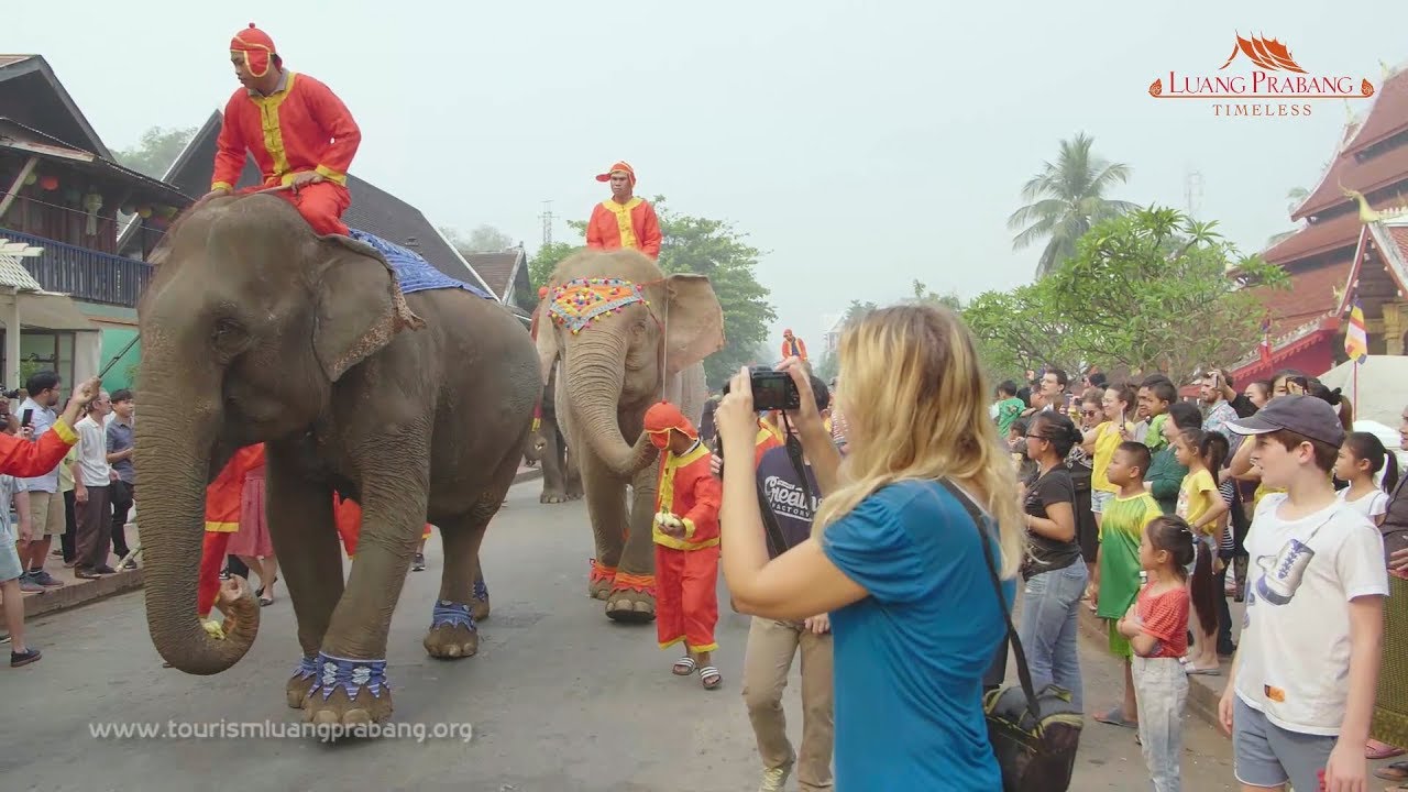 Elephant procession 2019 | ຂະບວນແຫ່ຊ້າງຮຽງເກີຍ - YouTube