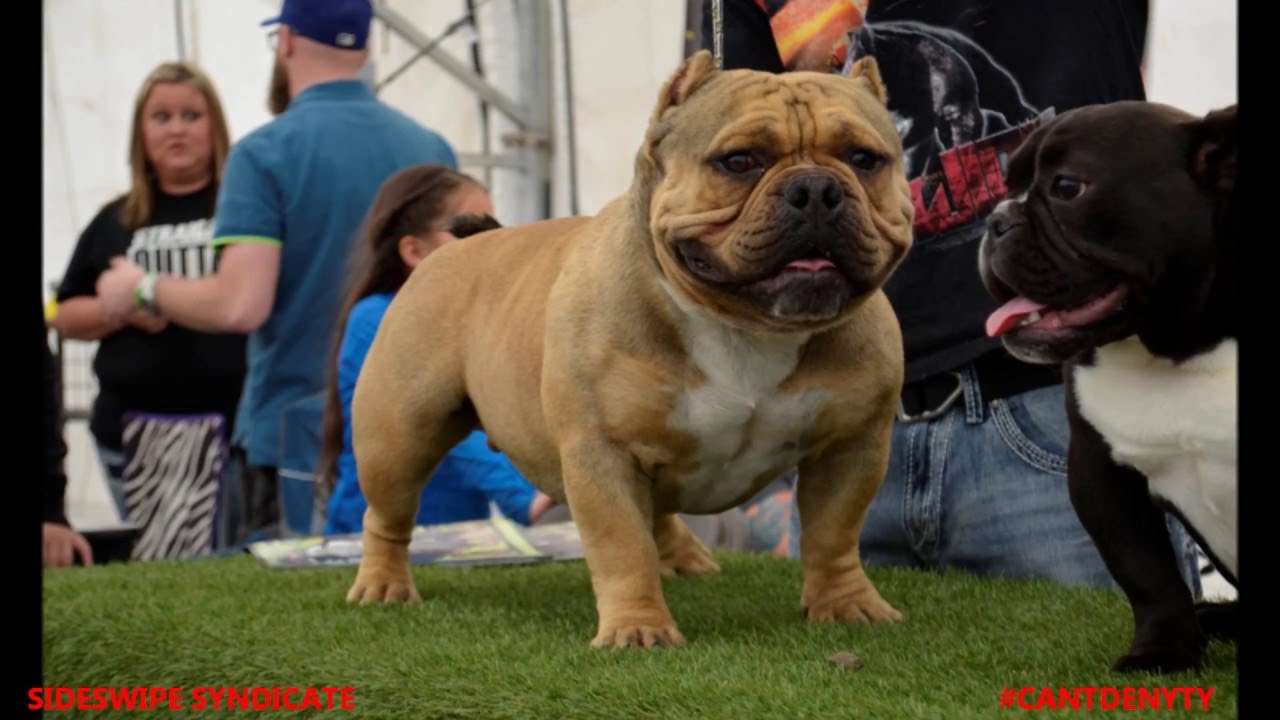 COLORADO BULLY MOVEMENT: SIDESWIPE SYNDICATE in PUEBLO COLORADO - YouTube