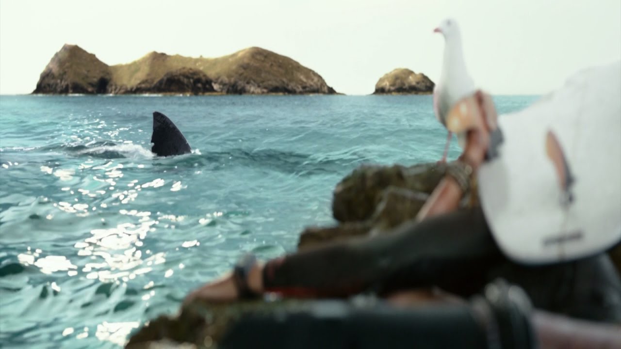 Águas rasas (Melhores cenas) - YouTube