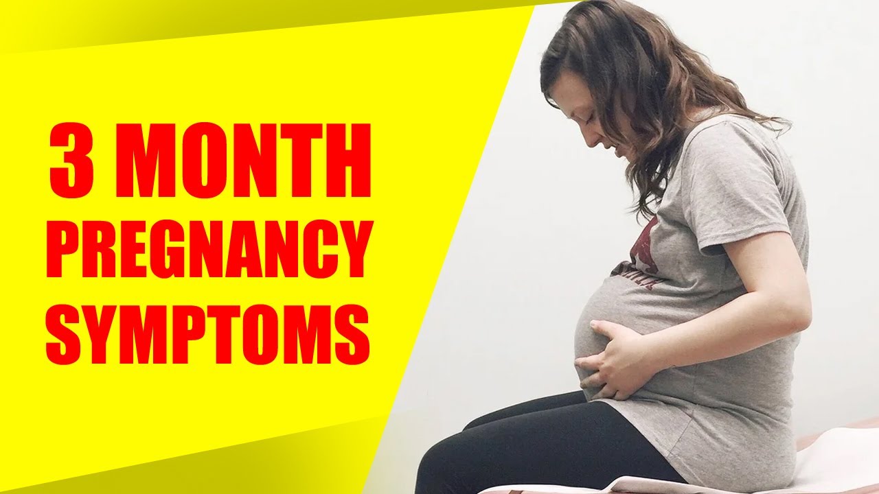 3 Months Pregnant Symptoms Pregnancy Baby Size Moving Baby Movement 3-months-pregnant-symptoms-pregnancy-baby-size-moving-baby-movement