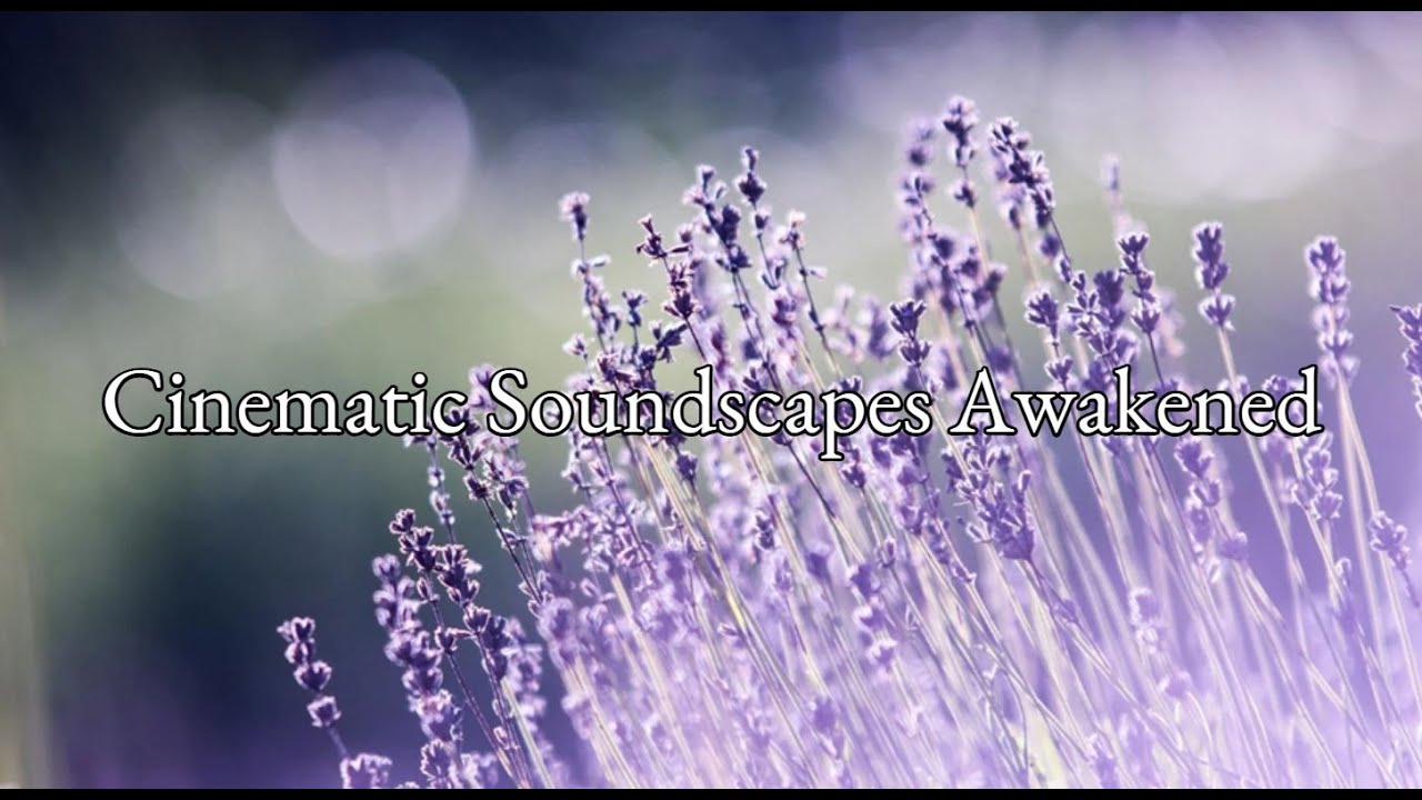 Cinematic Soundscapes Awakened | Copyright Free Music - YouTube