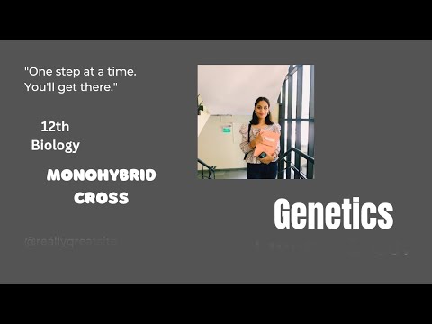 12th Biology Genetics Monohybrid Cross - YouTube