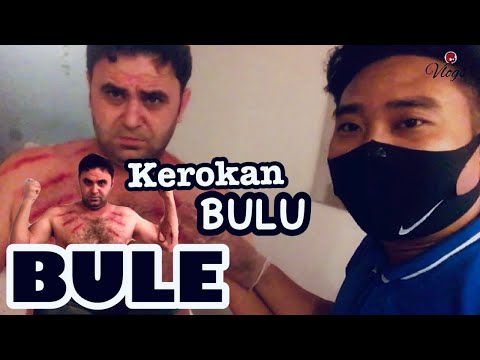 KEROKAN DADA BERBULU BULE TEMBUS BULU
