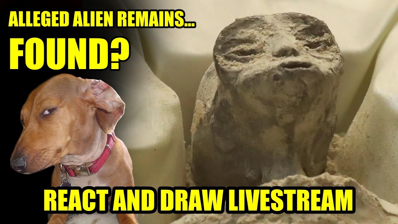 Alleged alien fossils presented to Mexican congress. Real or a hoax ...