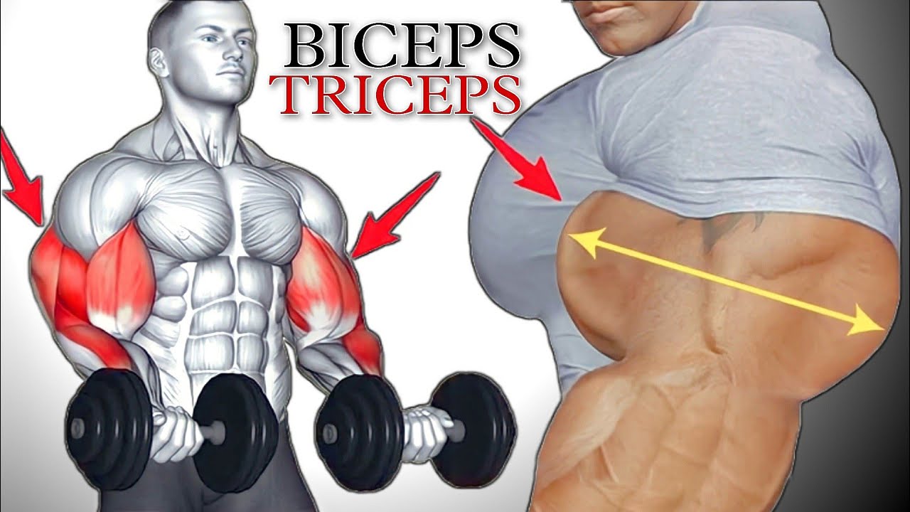 Bicep tricep workout at gym - bicep tricep exercises - YouTube