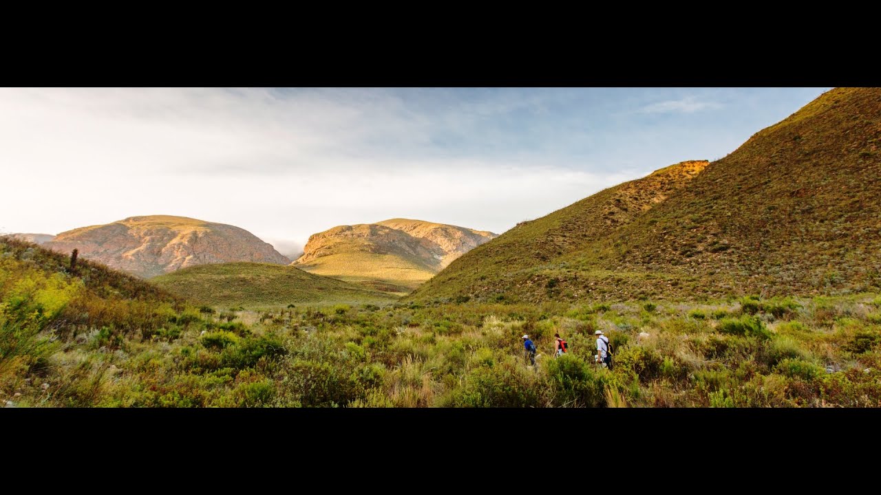 The Leopard Trail - Your Adventure Awaits - YouTube