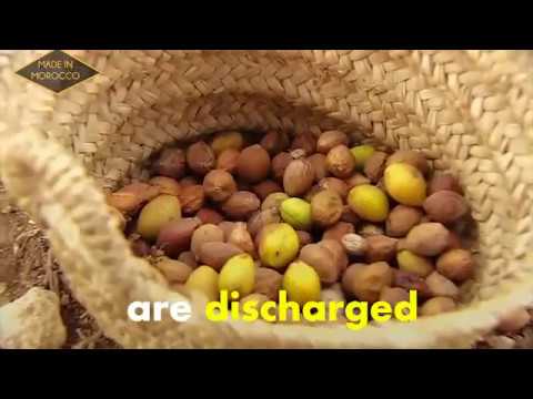 2Min understanding the process of How the real Argan Oil is made ...