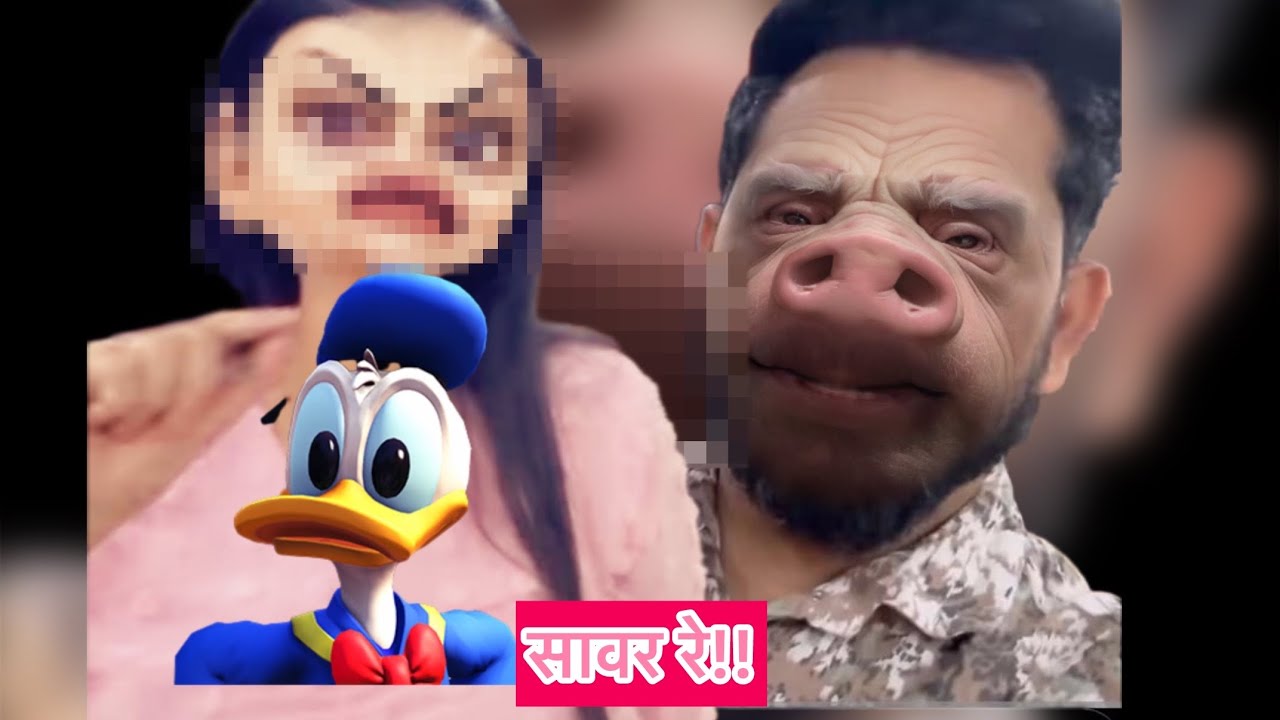 फुगुनी फुगली रडू बाई हलू हलू.. इतका राग बरा नाही!! डुक्कर आणि बदकाची ...