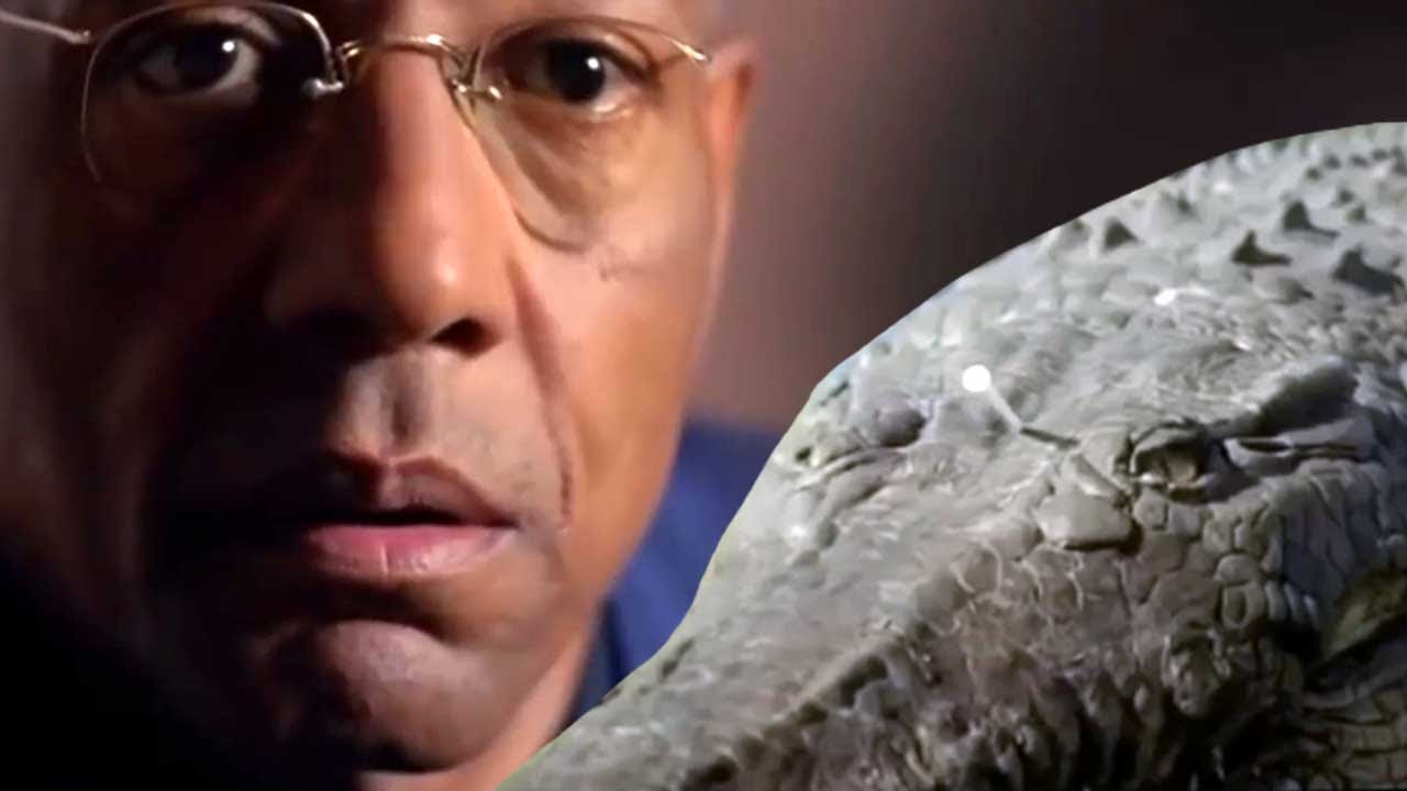 gustavo's surprise - YouTube