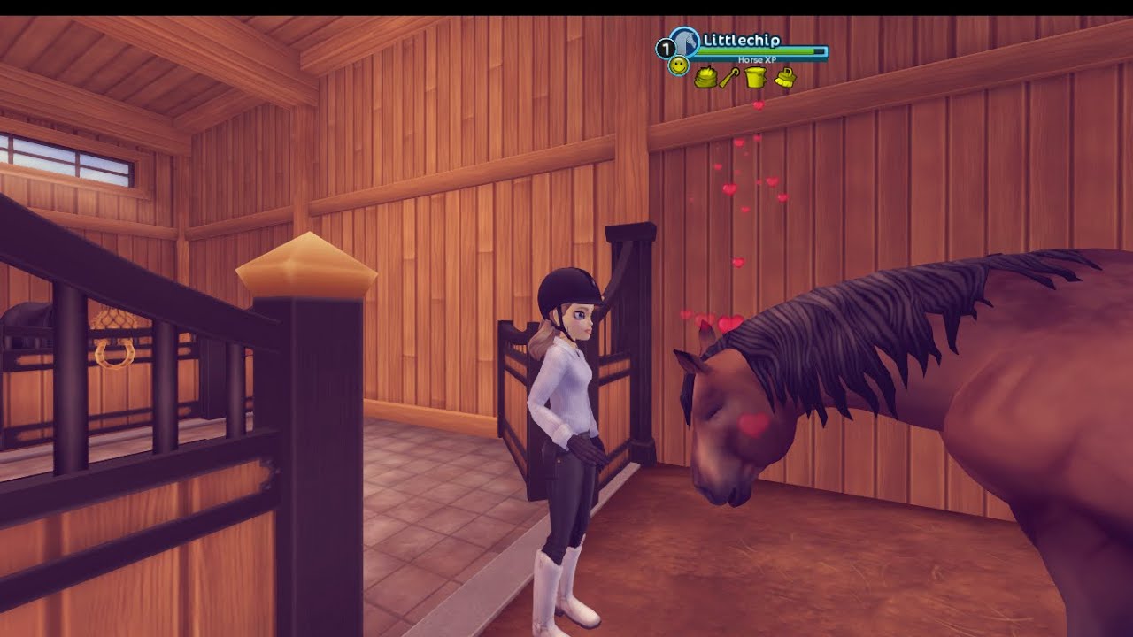 Stuff you have never noticed in SSO (Home stable) - Zsuzsanna Rockday ...
