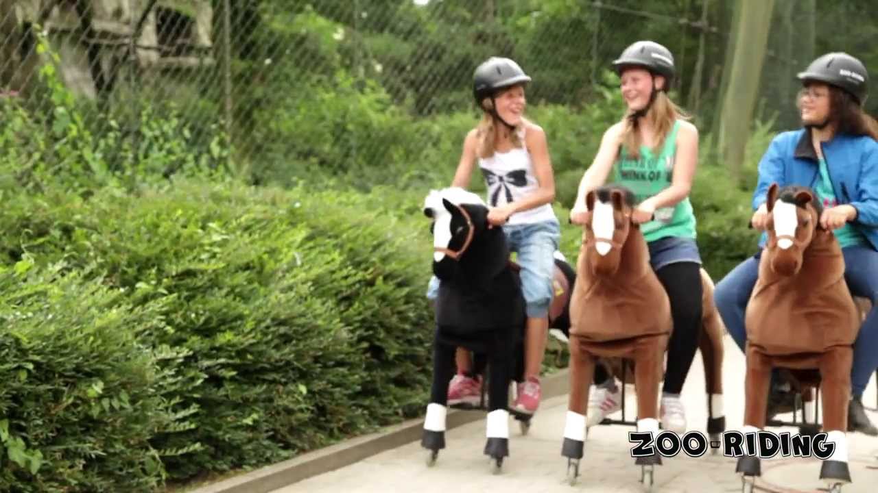 zoo riding - YouTube