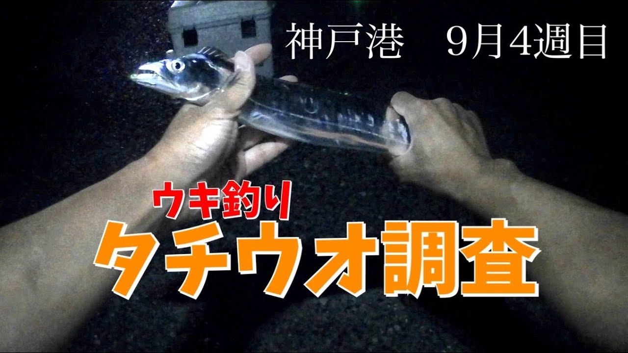 【太刀魚ウキ釣り】神戸港でタチウオを調査してみた。9月4週目[Tachi fish fishing] I investigated a ...