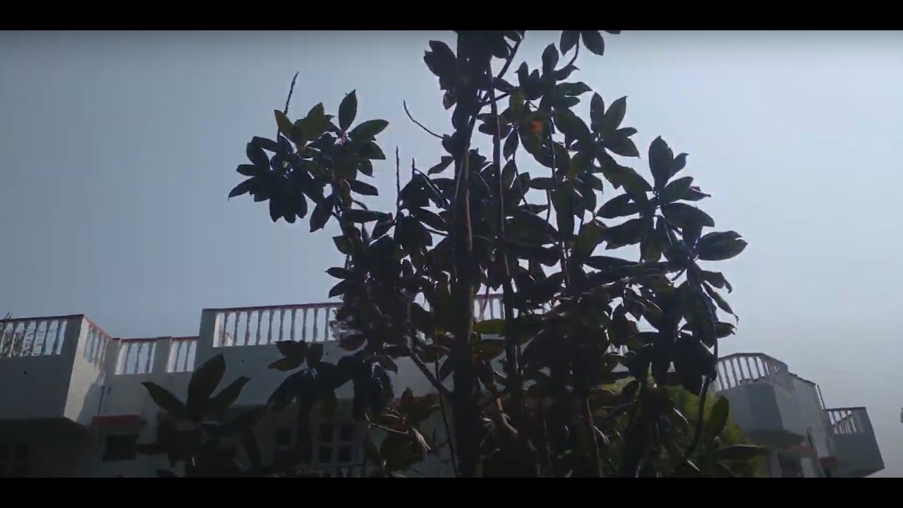 Hotel Manjusa Resort Lalbagh Murshidabad - YouTube