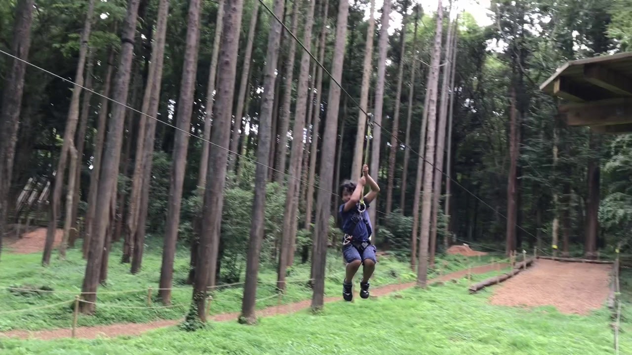 Forest Adventure and Amusement park Chiba Japan - YouTube