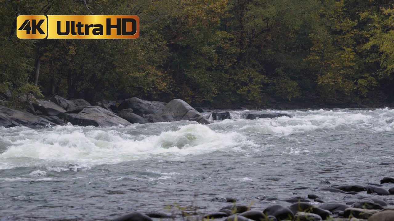 "Relaxing Water Flow Sound | Nature Ambience | 4K Peaceful Stream ...