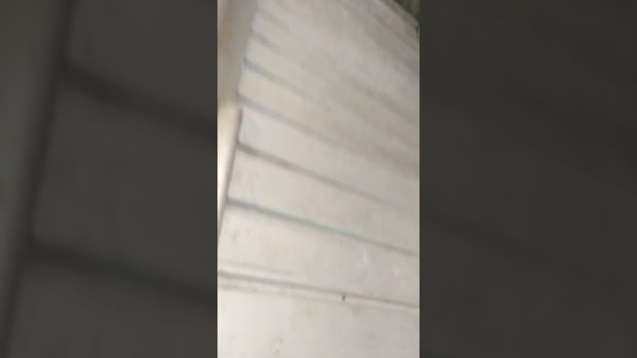 Pemuda Ketahuan Coli Di Kamar Mandi Viralll Youtube