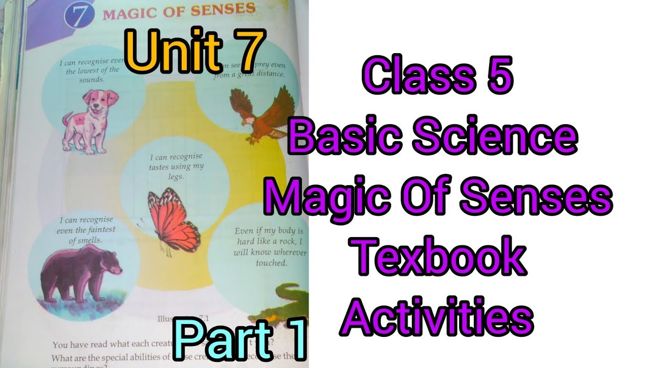 CLASS 5 Basic Science Magic Of Senses Textbook Activities - YouTube